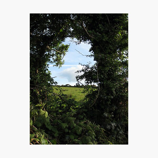 Kiladysert Gifts & Merchandise | Redbubble