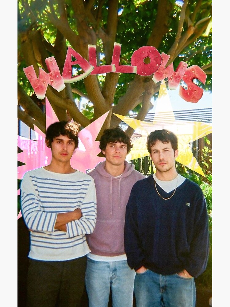 "Wallows" Poster for Sale by Tilboo | Redbubble