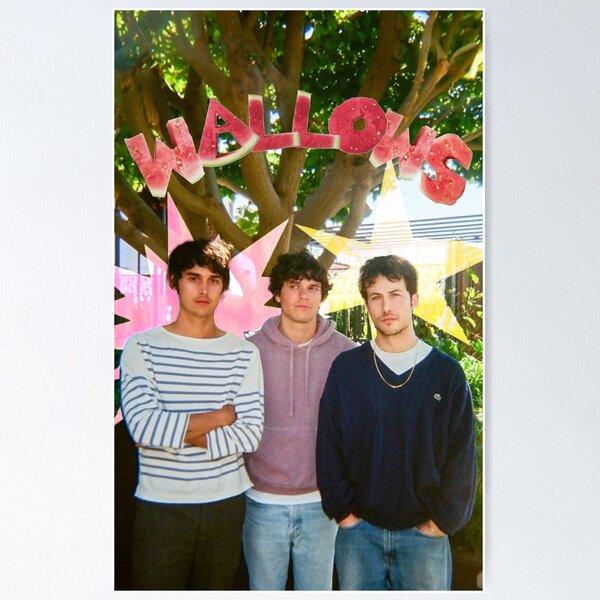 "Wallows" Poster for Sale by Tilboo | Redbubble