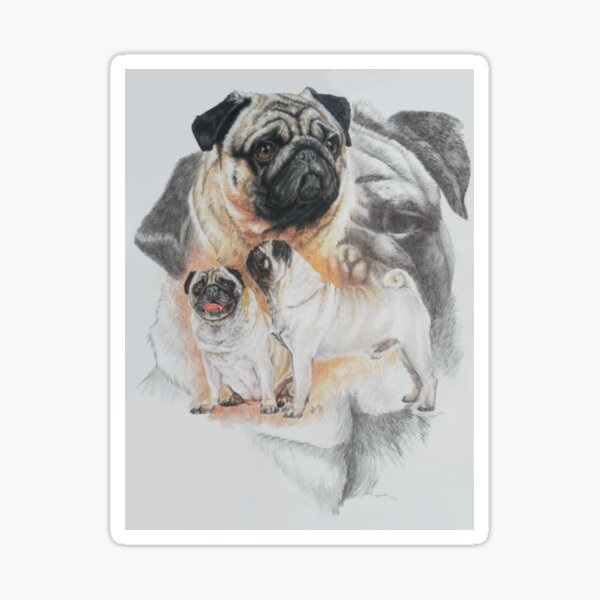 "Pug Revamp" Sticker by BarbBarcikKeith | Redbubble
