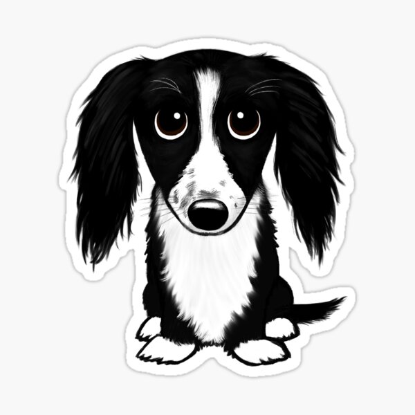 "Longhaired Black and White Dachshund Cute Cartoon Wiener Dog" Sticker ...