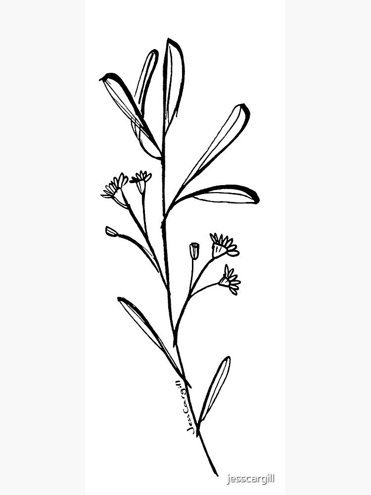 "Gum Tree Branch with blossoms by Jess Cargill" Art Print by ...