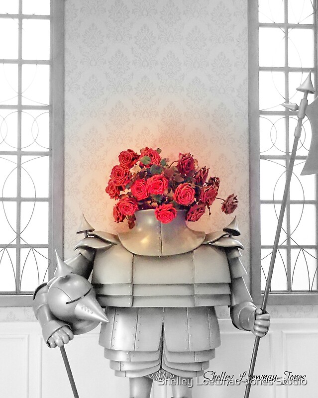 "Gru's Armor" by Shelley Loewnau-Jones | Redbubble