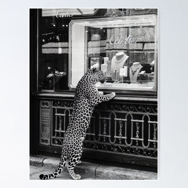 "Leopard Window Shopping" Poster for Sale by GlowinUp Shop | Redbubble