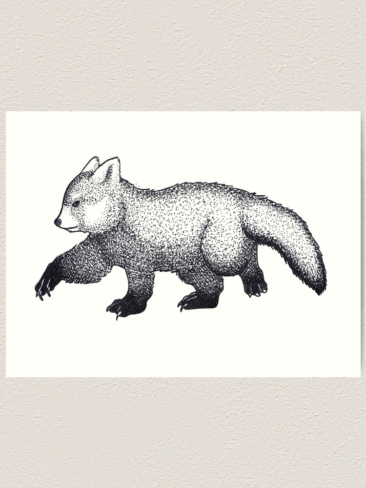 "Red Panda- Pointillism" Art Print by Bettypico | Redbubble