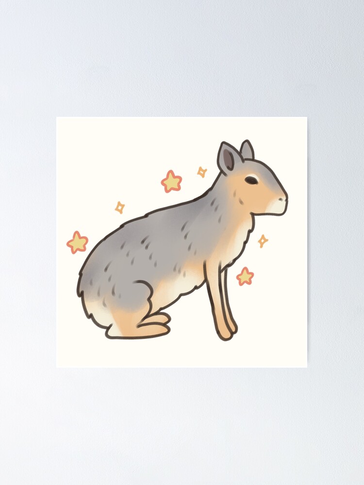 "Patagonian mara drawing " Poster for Sale by Artofmayara | Redbubble