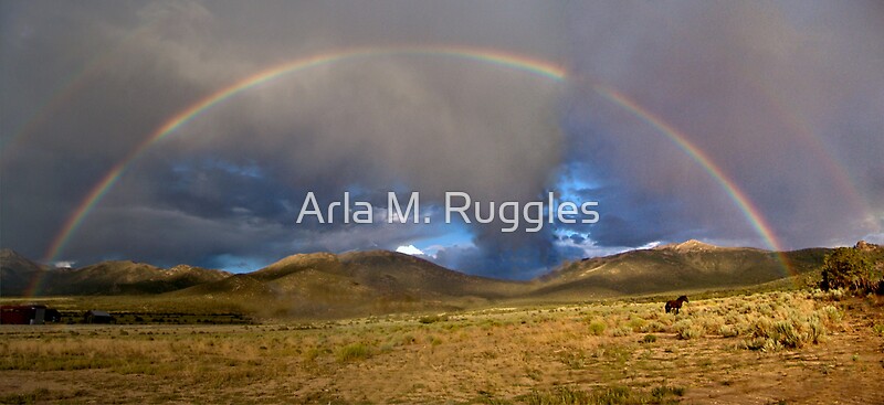 "Mustang's Miracle" by Arla Ruggles | Redbubble