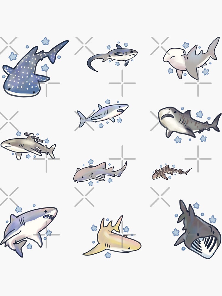 "Shark kinds pack" Sticker for Sale by Artofmayara | Redbubble