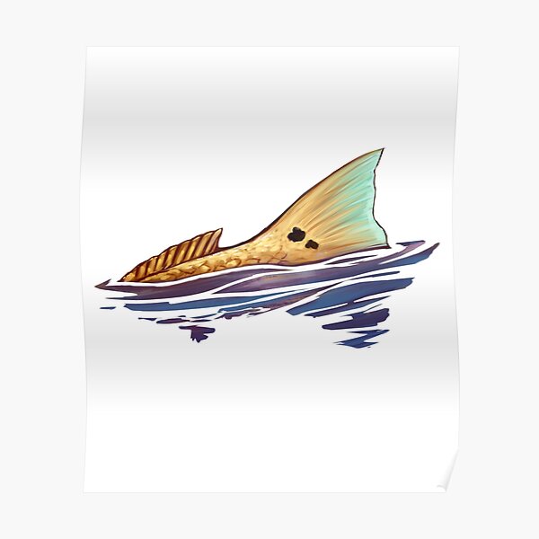 "Tailing Redfish | Redfish Tail" Poster for Sale by blueshore | Redbubble
