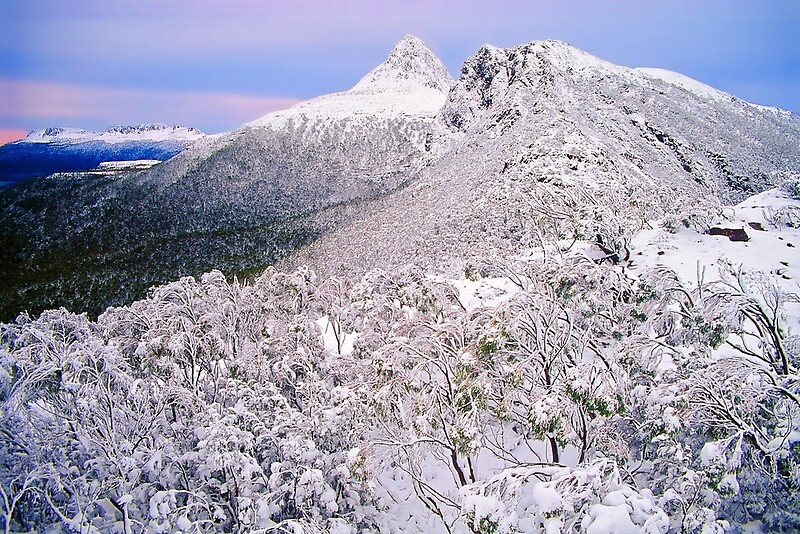 "Winter, Tasmanian wilderness" by Kevin McGennan | Redbubble