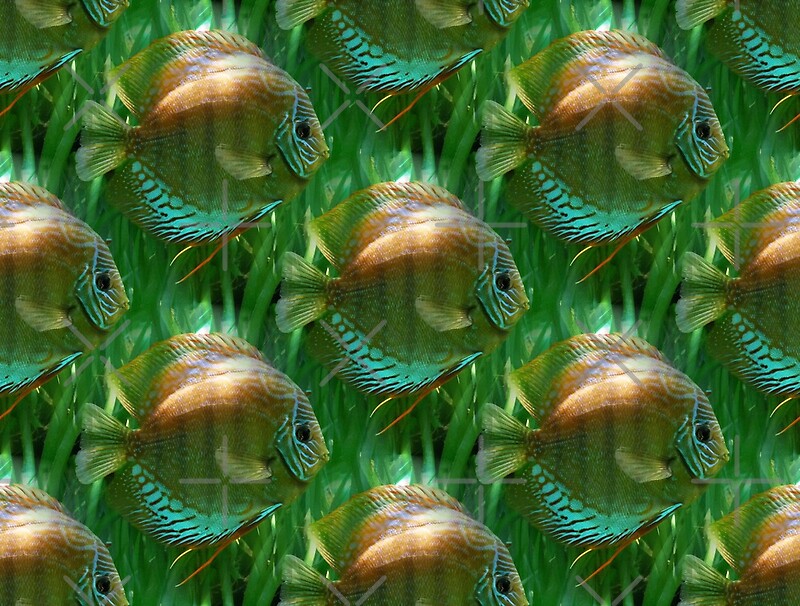 "Shoal (pattern)" by Yampimon | Redbubble