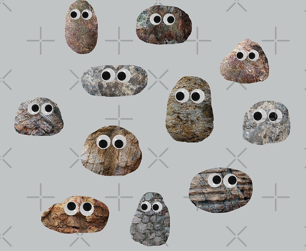 "Rocks with Googly Eyes" by Amy Hadden | Redbubble