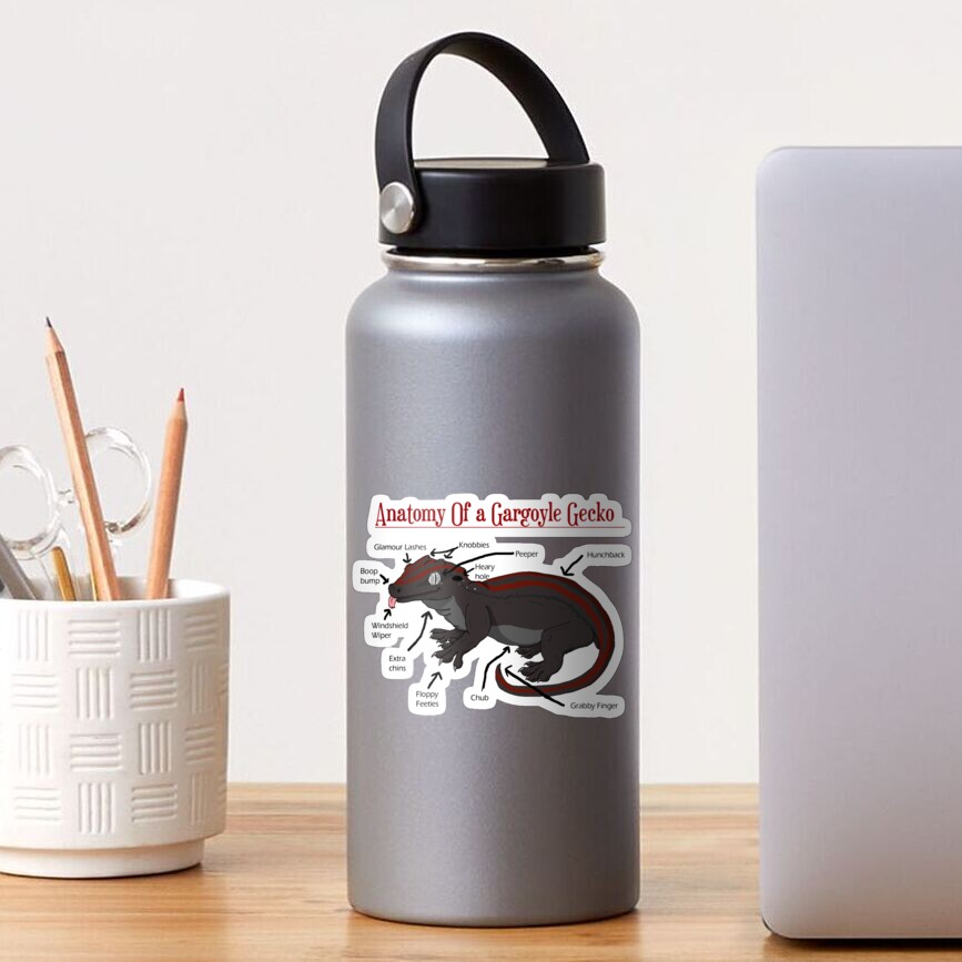 "Anatomy of a Gargoyle Gecko" Sticker for Sale by christywoowoo | Redbubble
