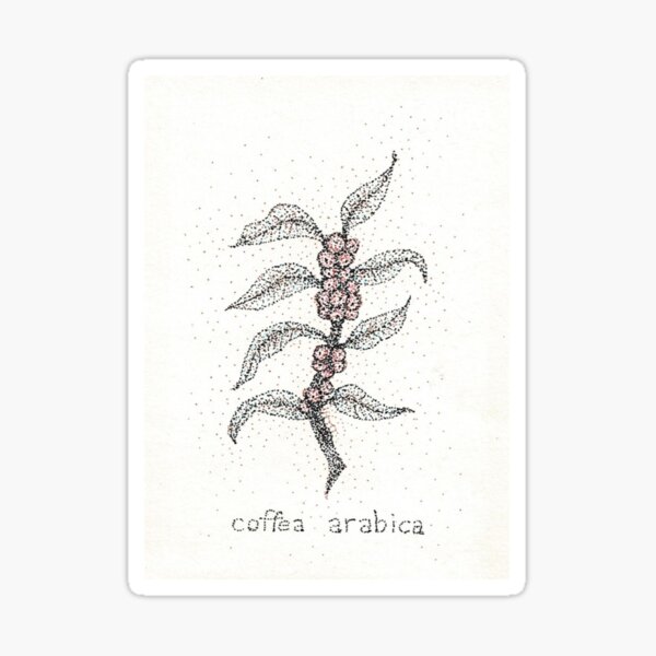 EJVisuals Shop | Redbubble