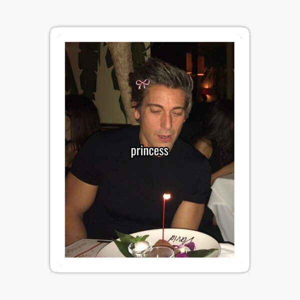 "David Muir Princess meme" Sticker for Sale by EmikoNamika | Redbubble