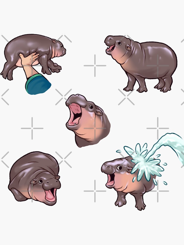 "Little hippopotamus Moo Deng" Sticker by CuteBlueArt | Redbubble