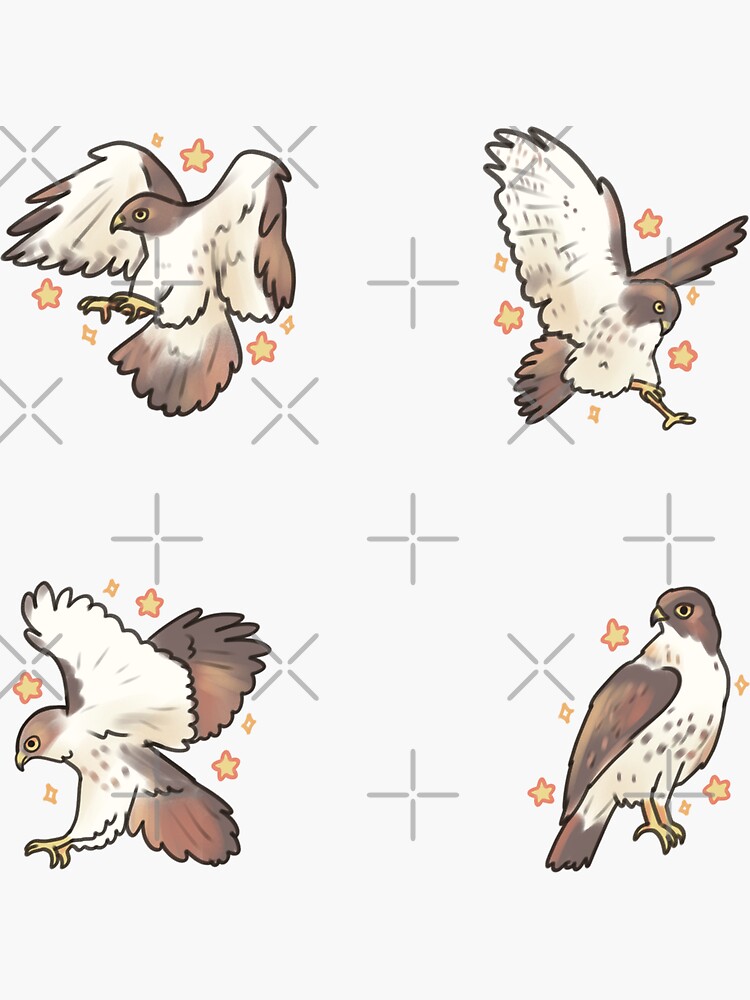 "Red tailed Hawk pack" Sticker for Sale by Artofmayara | Redbubble