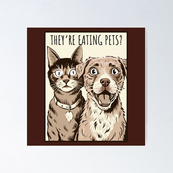 "Halloween, Theyre eating the dogs and cats, Pets, Election 2024, Funny ...