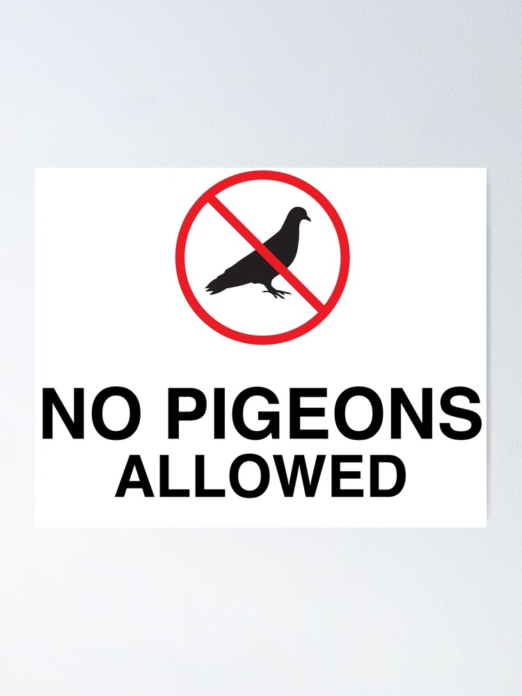 "No pigeons allowed" Poster for Sale by estudio3e | Redbubble