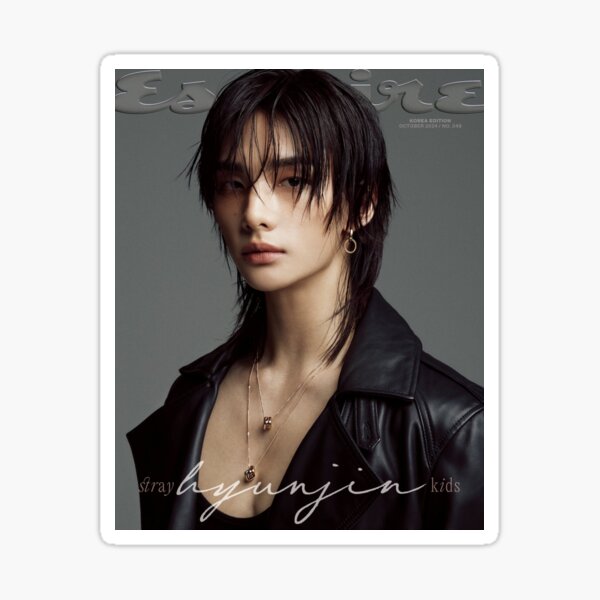 "Hyunjin Stray Kids (스트레이 키즈) "ATE" TEASER IMAGE SKZ kpop ot8" Sticker ...