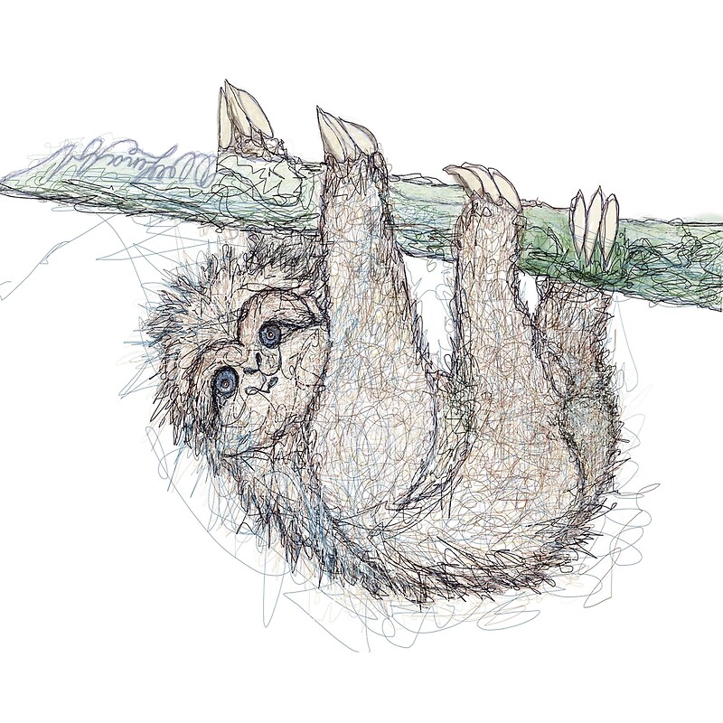 "Be Slothful Slow Down Digital Sketch of Sloth " by OLena Art ️ | Redbubble