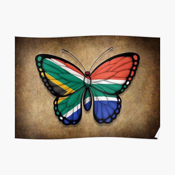 "South African Flag Butterfly" Poster for Sale by JeffBartels | Redbubble