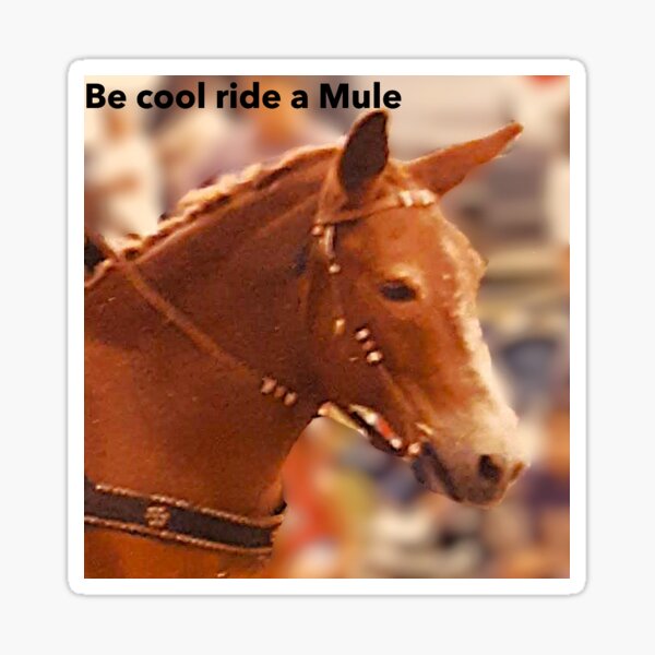 "Be cool ride a mule" Sticker for Sale by Bar-D | Redbubble