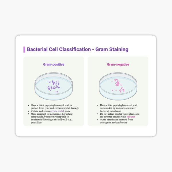 Regalos y productos: Microbiolog%c3%ada | Redbubble