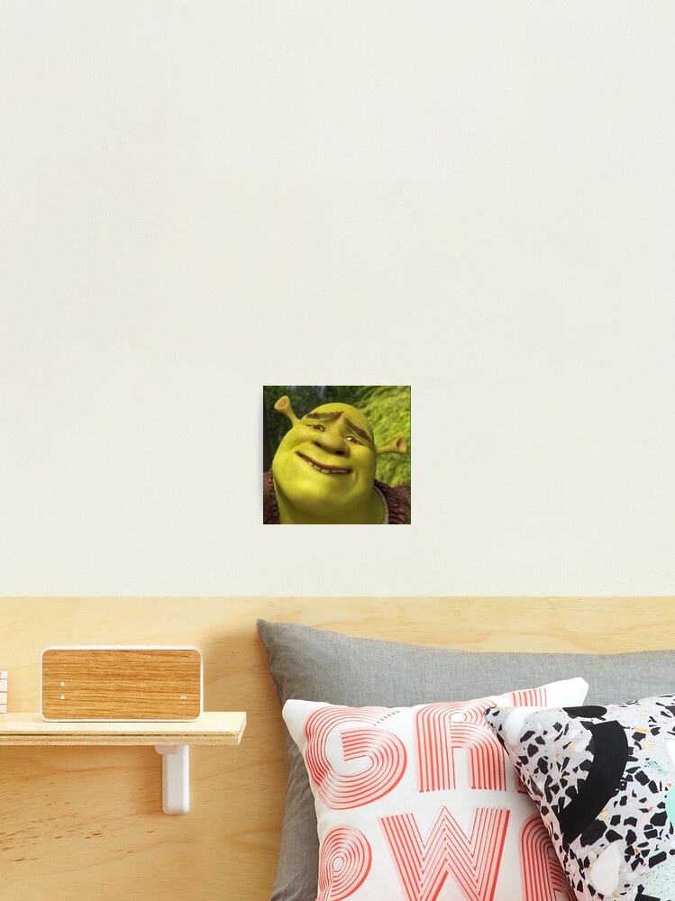 "Romantic Shrek *Bites Lip* Meme From Shrek Green Ogre Man Rizz ...