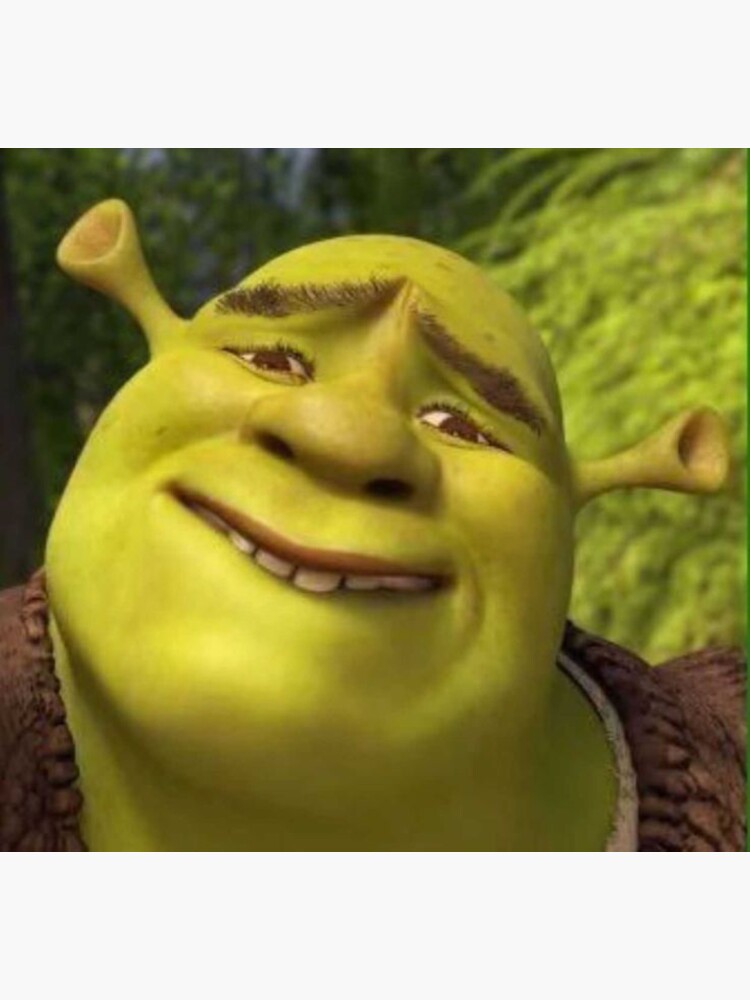 "Romantic Shrek *Bites Lip* Meme From Shrek Green Ogre Man Rizz ...