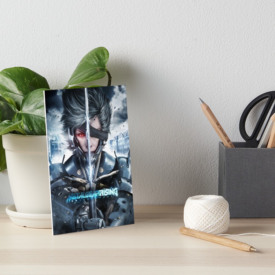 "Raiden Stance " Poster for Sale by OrangeSquash2 | Redbubble
