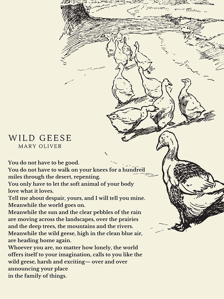 "Mary Oliver, “Wild Geese” Design" Sticker for Sale by cadyanndouglas ...