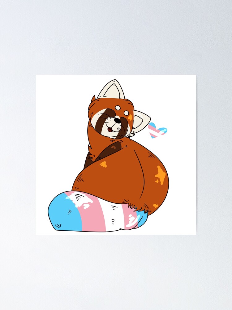 "Trans Red Panda" Poster by Leebury | Redbubble