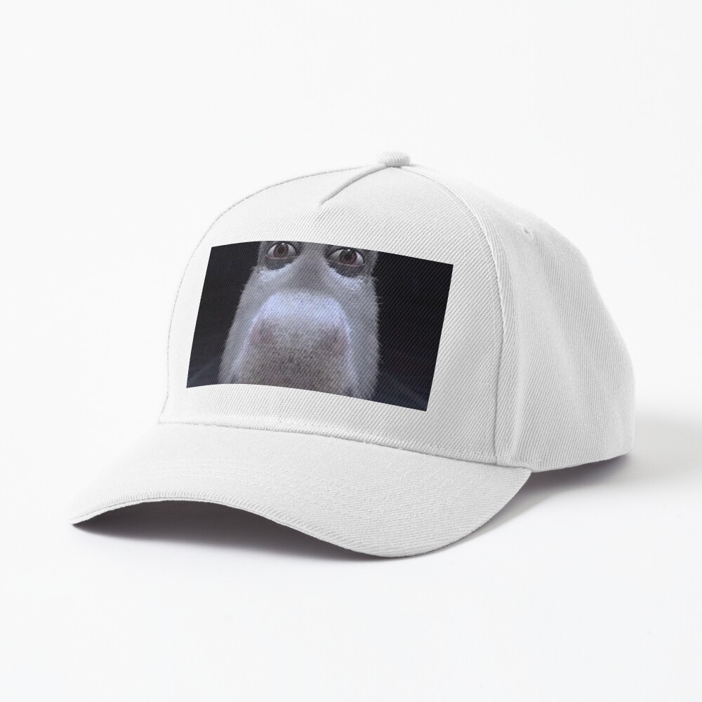 "Donkey Stare Meme Shrek Funny 1000 yard stare" Sticker for Sale by ...