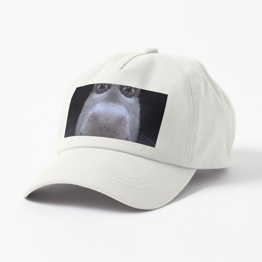 "Donkey Stare Meme Shrek Funny 1000 yard stare" Sticker for Sale by ...