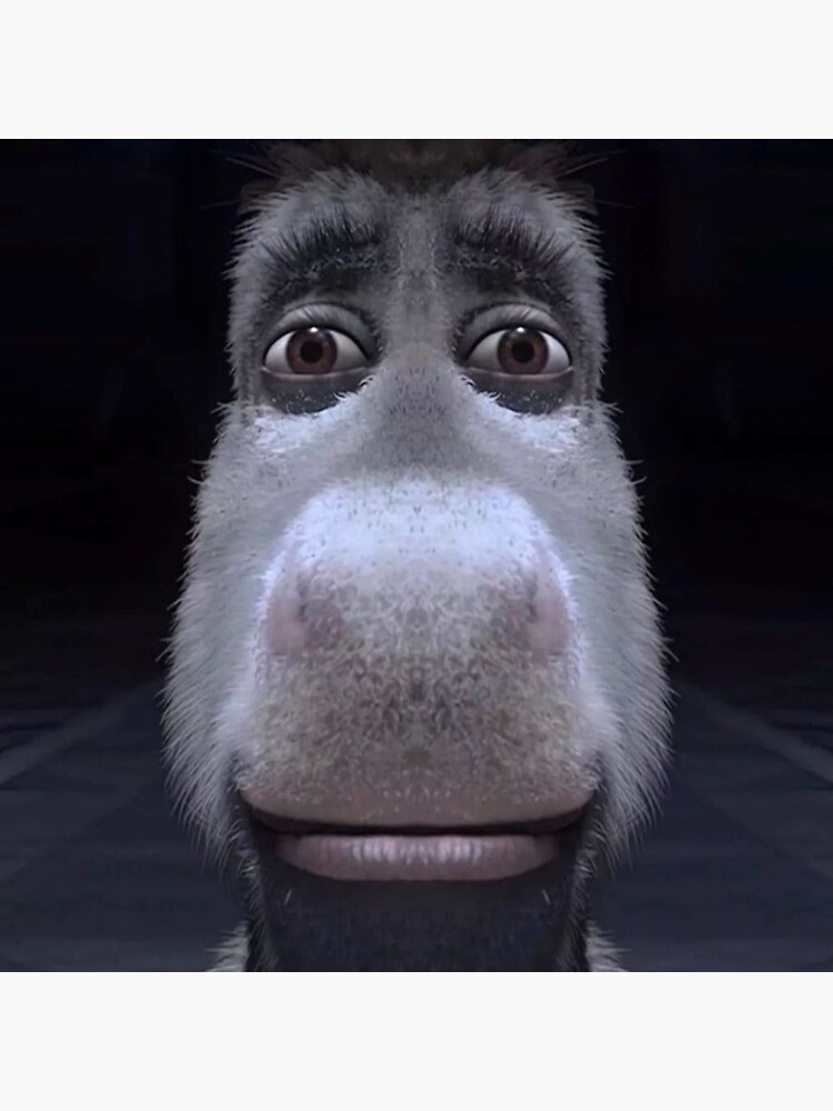 Shrek Donkey Meme Face Stream Lanky And Curly Cereal Box (Feat.