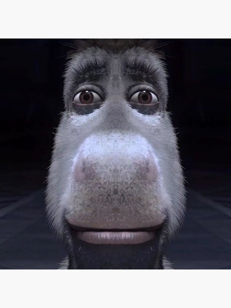 Donkey Shrek Meme Hworks Shrek Donkey Mask Halloween Cosplay Costume