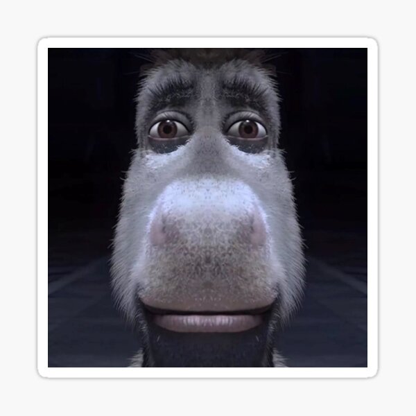 "Donkey Stare Meme Shrek Funny 1000 yard stare" Sticker for Sale by ...