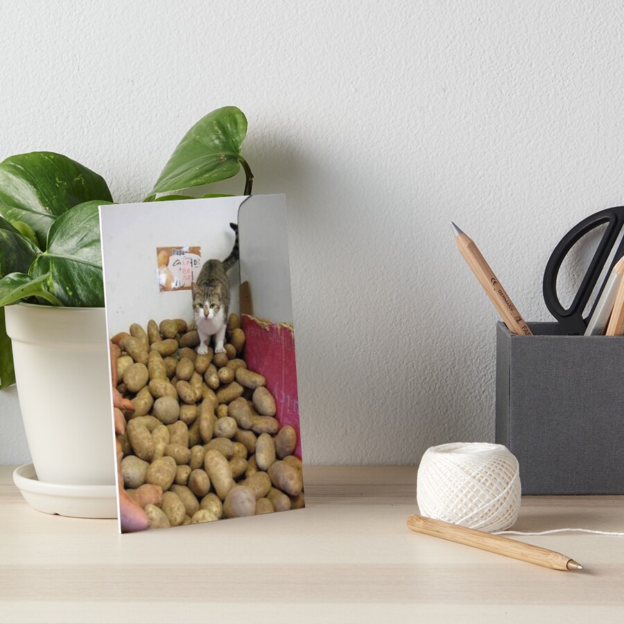 "Cat on Potatoes" Art Board Print for Sale by PapaKnox | Redbubble