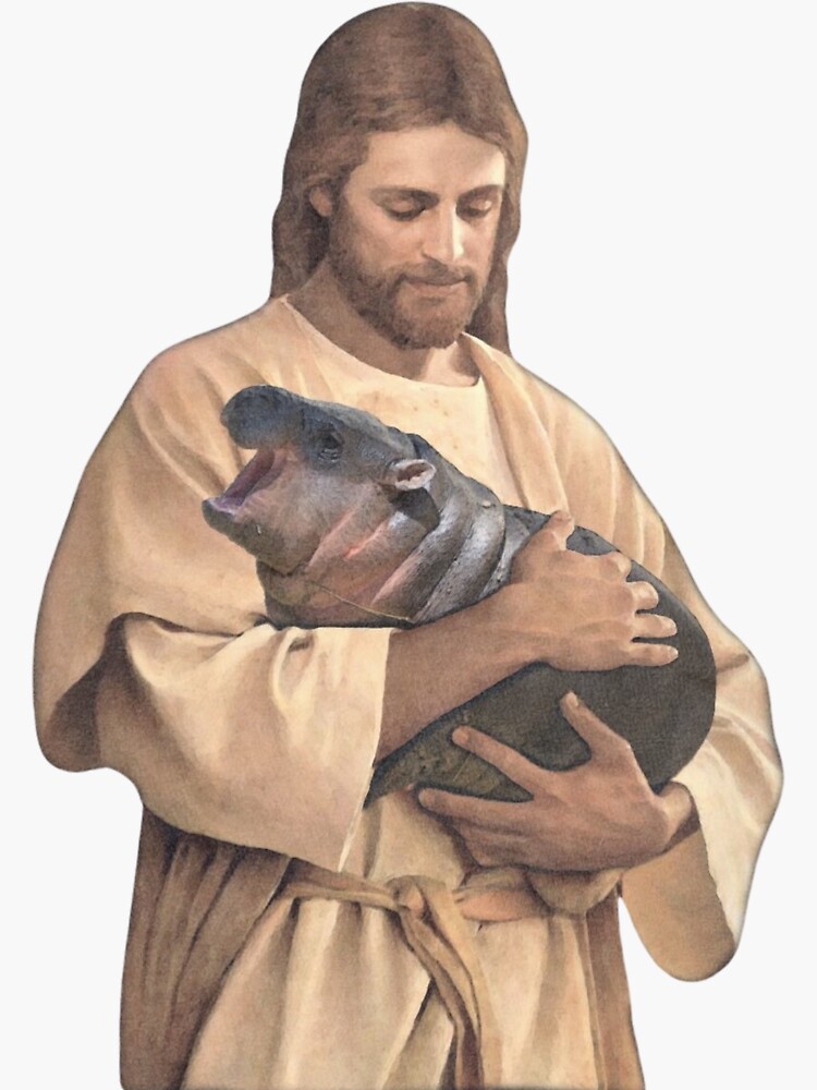 "jesus moo deng" Sticker for Sale by hrencso | Redbubble