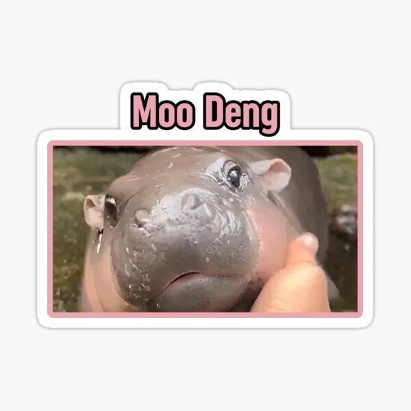 "Moo-Deng hippo" Sticker for Sale by GYMGUYSONLY | Redbubble