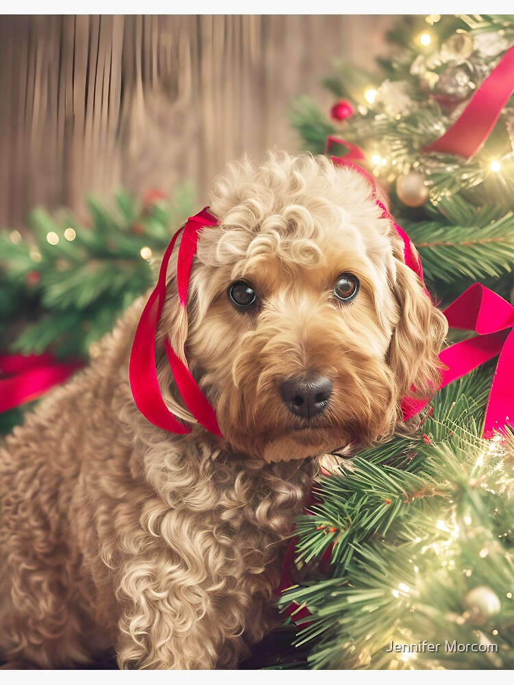 "Cavapoo Merry Christmas" Sticker for Sale by Jennifer Morcom | Redbubble