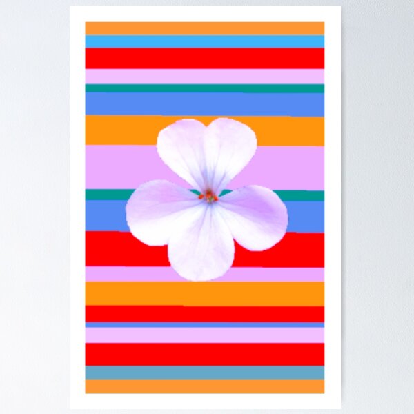 "Geranium Flower with Colored Stripes" Poster for Sale by kel72 | Redbubble