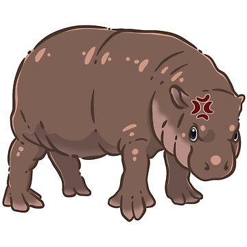 "Angry Moo Deng baby hippo" Sticker for Sale by SakuyasArt | Redbubble