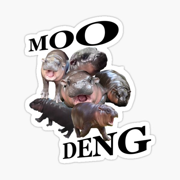 "moo deng appreciation " Sticker for Sale by is4bxlle | Redbubble