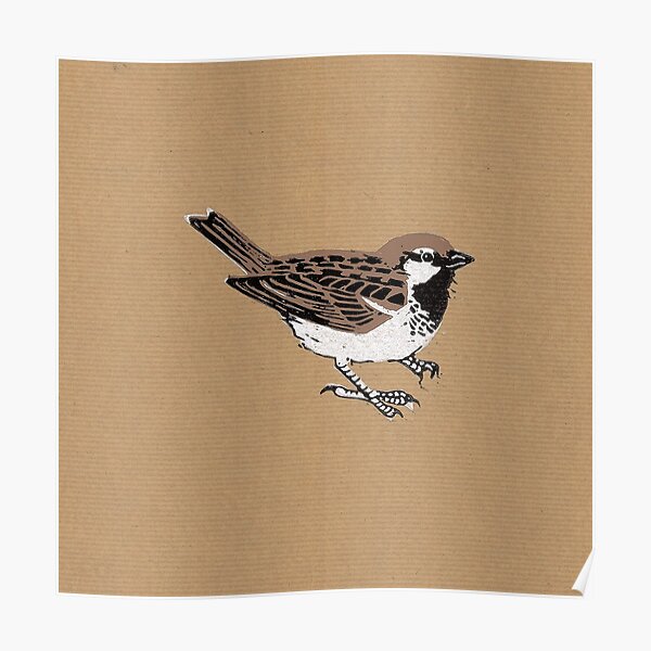 "Sparrow" Poster for Sale by natmorleyuk | Redbubble