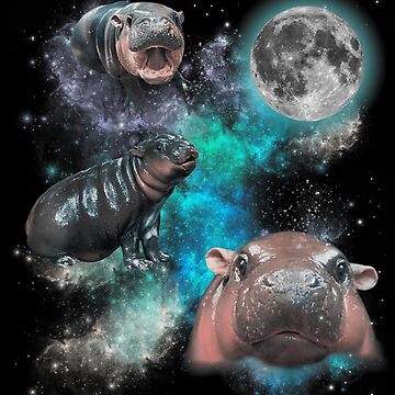 "Moo Deng Three Moo Deng Moon Funny Hippo" Essential T-Shirt for Sale ...