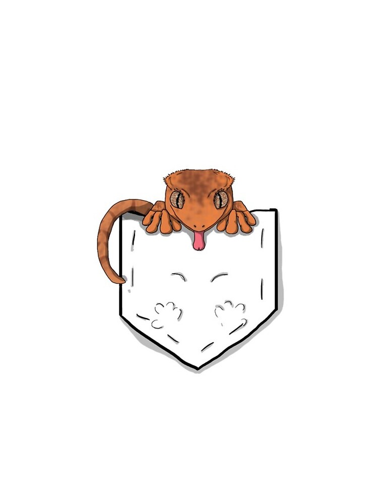 "Crested Gecko in Pocket" iPhone Case for Sale by christywoowoo | Redbubble