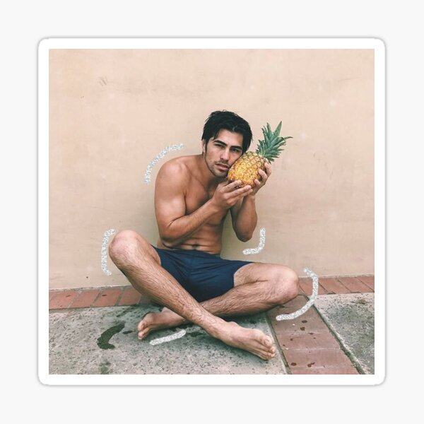 "Toddy Smith" Sticker for Sale by makennadecaro | Redbubble