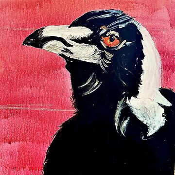 "Fruitcake’s stoned Australian Currawong, a Crow to some" Sticker for ...